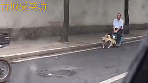 大爷这出行方式既绿色又环保,百公里只需两根大骨头,值得推广