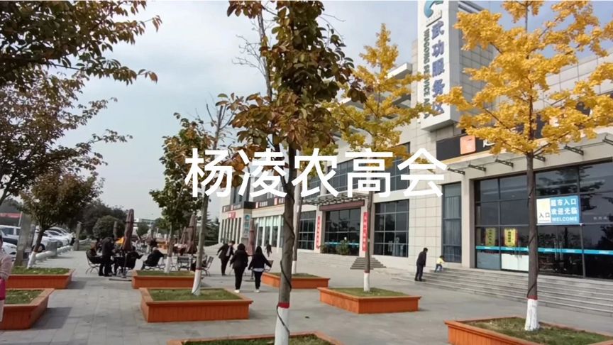 这一届的农高会与往届不同