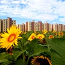东哥ߙ�080 