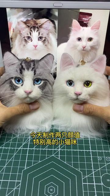 颜值担当的小猫咪手工diy,羊毛毡,铲屎官的乐趣,手作