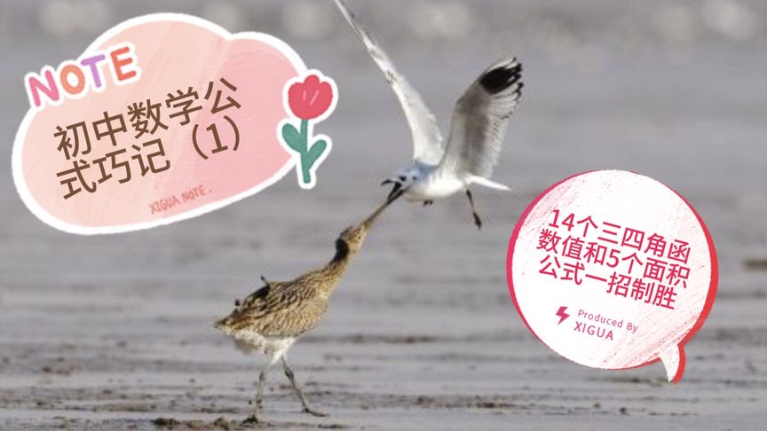 初中数学公式巧记(1)14个三角函数与5个面积公式 一招制胜