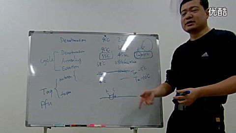 普通PCR全攻略(暨南大学张弓教授2015.12.25)