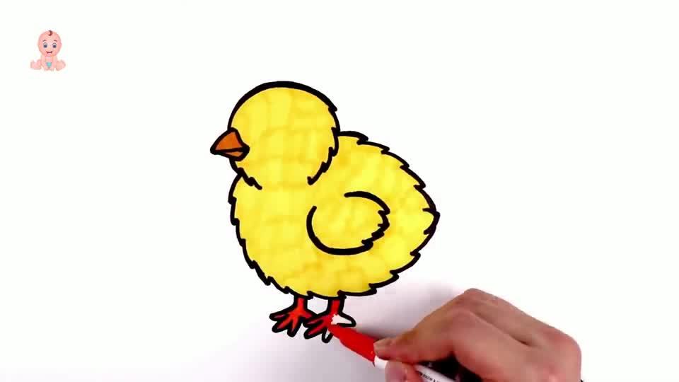 Q版小鸡海龟动物玩具寻找妈妈,小太阳快乐园