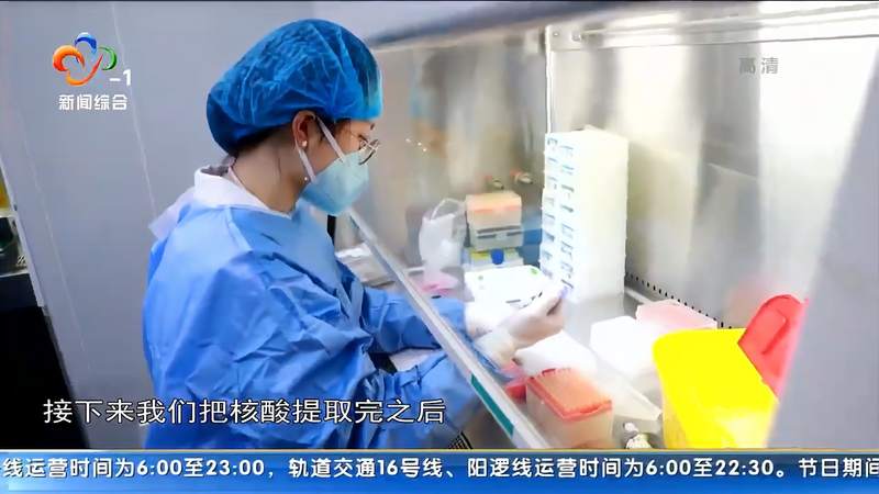 新冠核酸检测 在实验室里这样进行