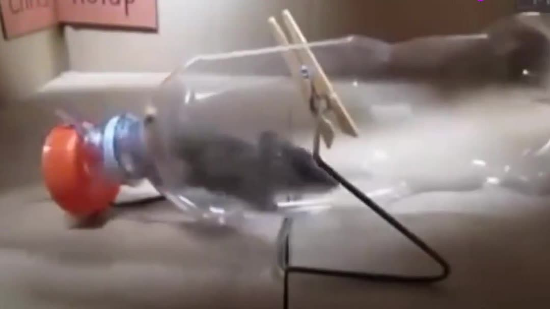 自制捕鼠器超级简单,而且方便实用,老鼠恐怕要气疯了吧!