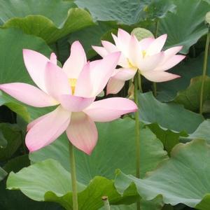 红摄军旅看世界 