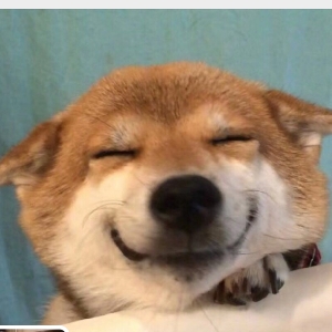 若逸阿圣 