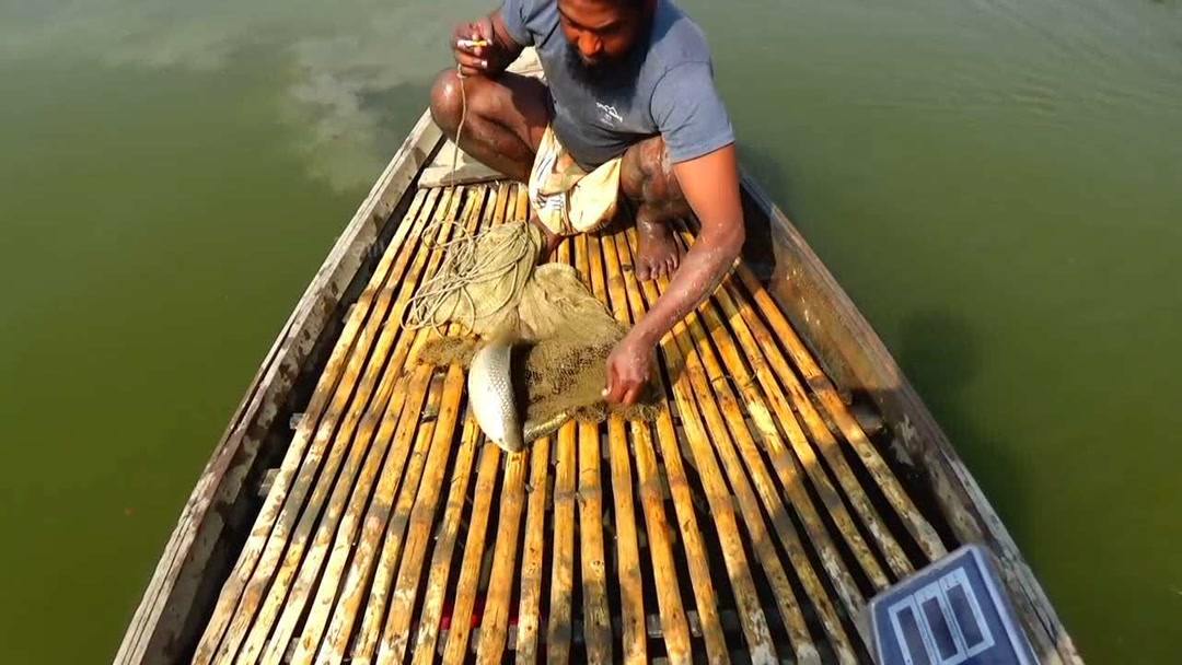 撒网是个技术活,能把这么大的渔网撒这么开