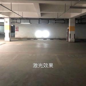 二师兄我来了 