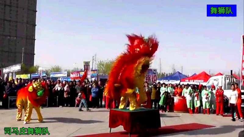 这个舞狮队的精彩表演你肯定爱看场面太震撼了