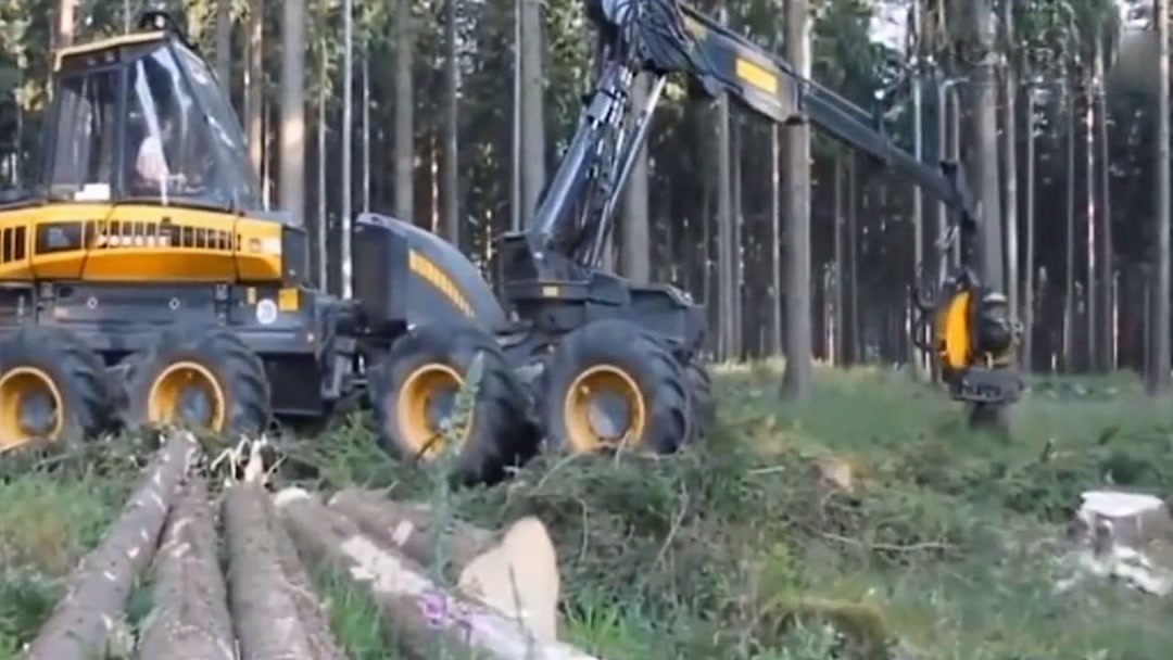 德国砍树机器到底有多强悍?根本不需要伐木工