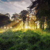 微凉时光倾旧城 