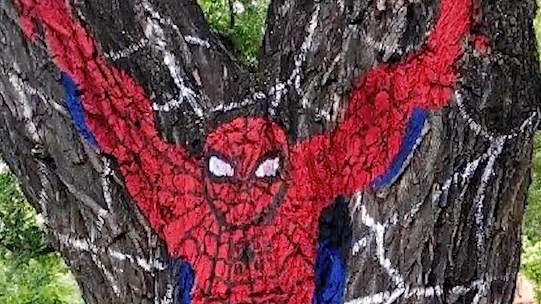 国家森林公园树上被涂鸦大量卡通画,网友质疑:是恶意破坏环境?