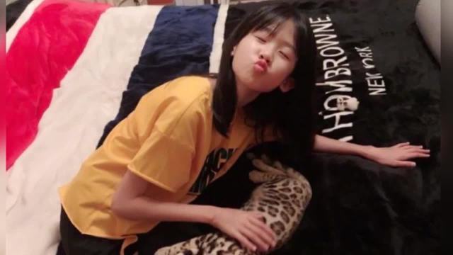 陆毅花式宠女,晒10岁贝儿与猫咪合照,猫咪品种惹关注价格不菲