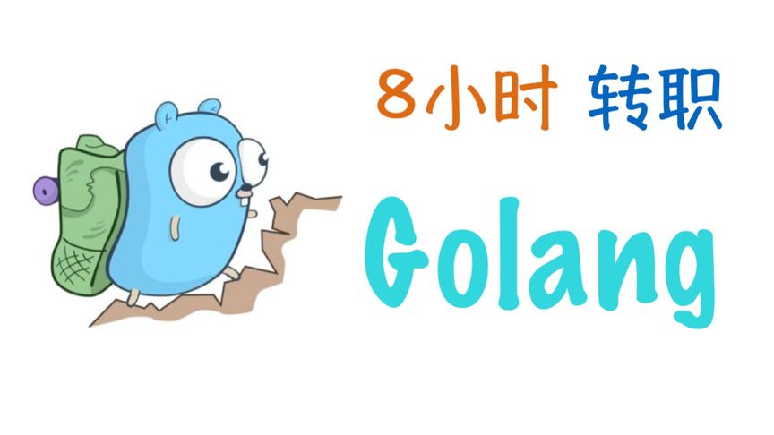8小时转职Golang(2-开发环境与IDE重点)#Golang #golang编程
