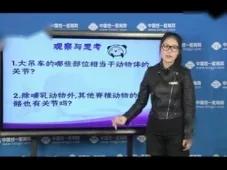 第一节 动物的运动