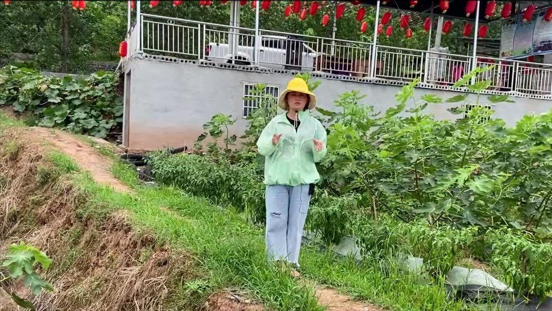 今年迎来一种种植新模式,少者赚50万多者100万,客户主动上门来