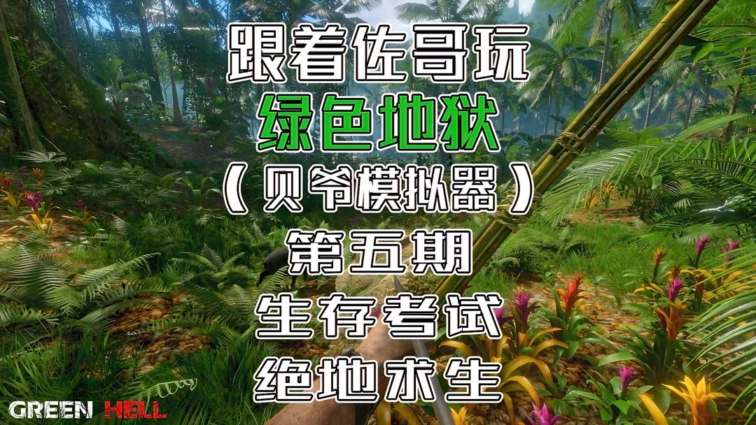 【小佐兔子】贝爷模拟器 第五期 生存考试,绝地求生!绿色地狱