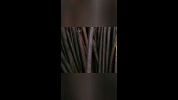 便秘果 很管事 本人便秘多年吃药不管事,前天吃了便秘果当天排了