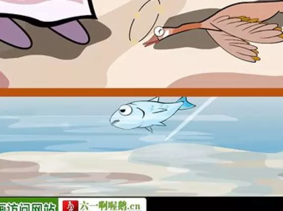 成语故事大全 成语故事动画片 沉鱼落雁