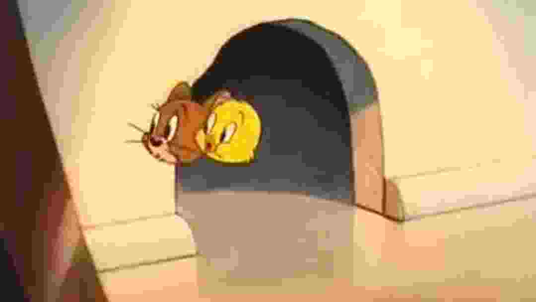 猫和老鼠搞笑动画:小老鼠又多了个小伙伴,汤姆猫被耍的团团转