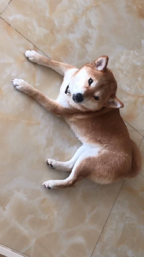 不自觉变成节拍器