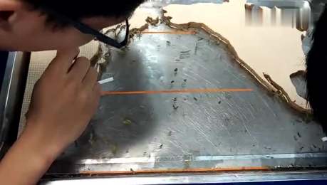 实验模拟北太平洋洋流形成