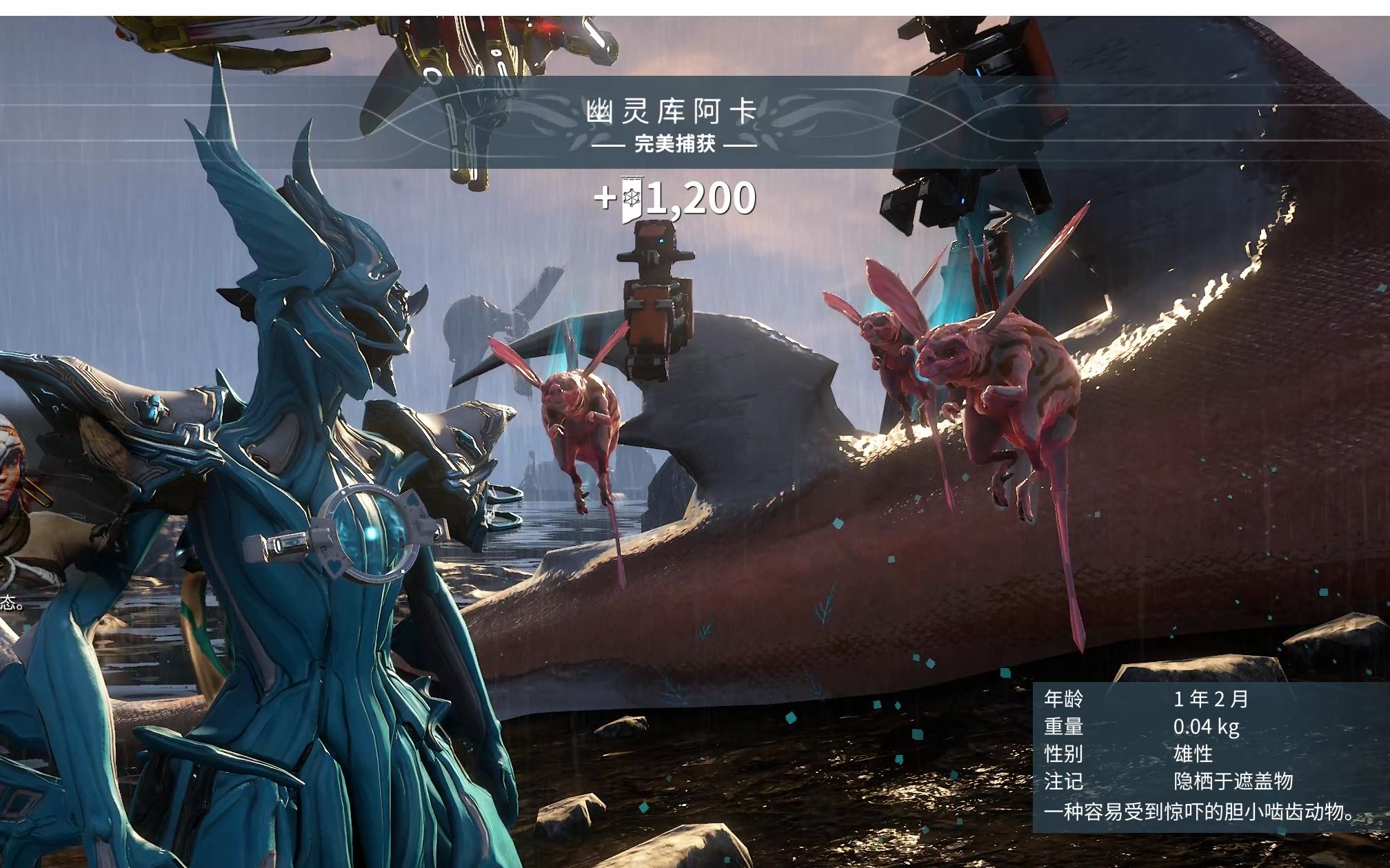 warframe八分钟速刷希图斯地球平原26000满声望实录