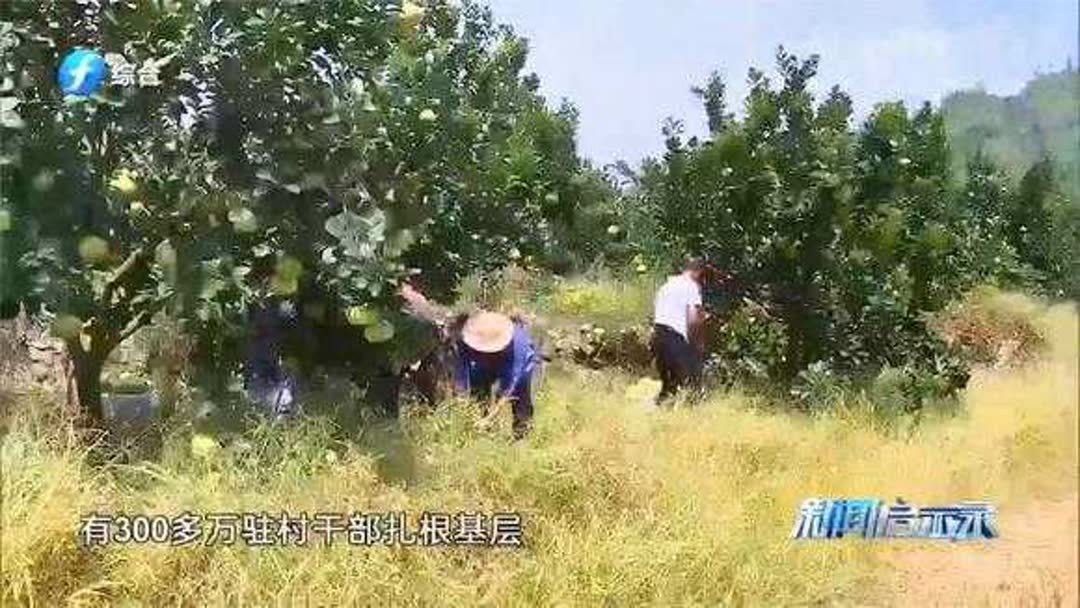 减贫奇迹,中国样板,展现中国特色社会主义的制度优势|新闻启示录