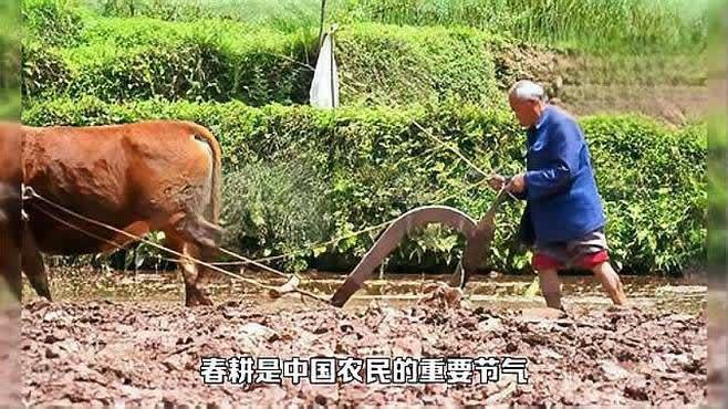 春耕习俗科普,让你了解中国传统农耕文化