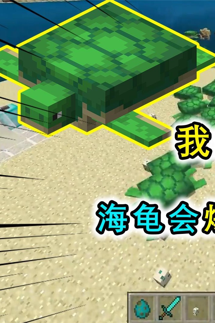 我的世界:盘点MC海龟有哪些好玩的特性?被雷劈竟会变成木碗