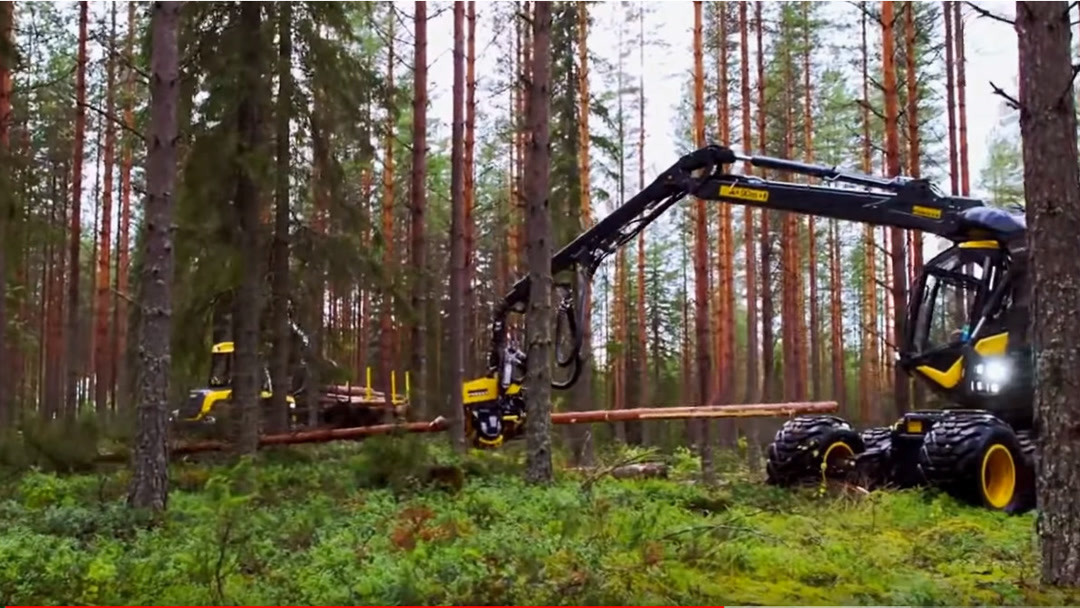 砍树机器人造型很奇葩,砍起树来,比光头强还疯狂?