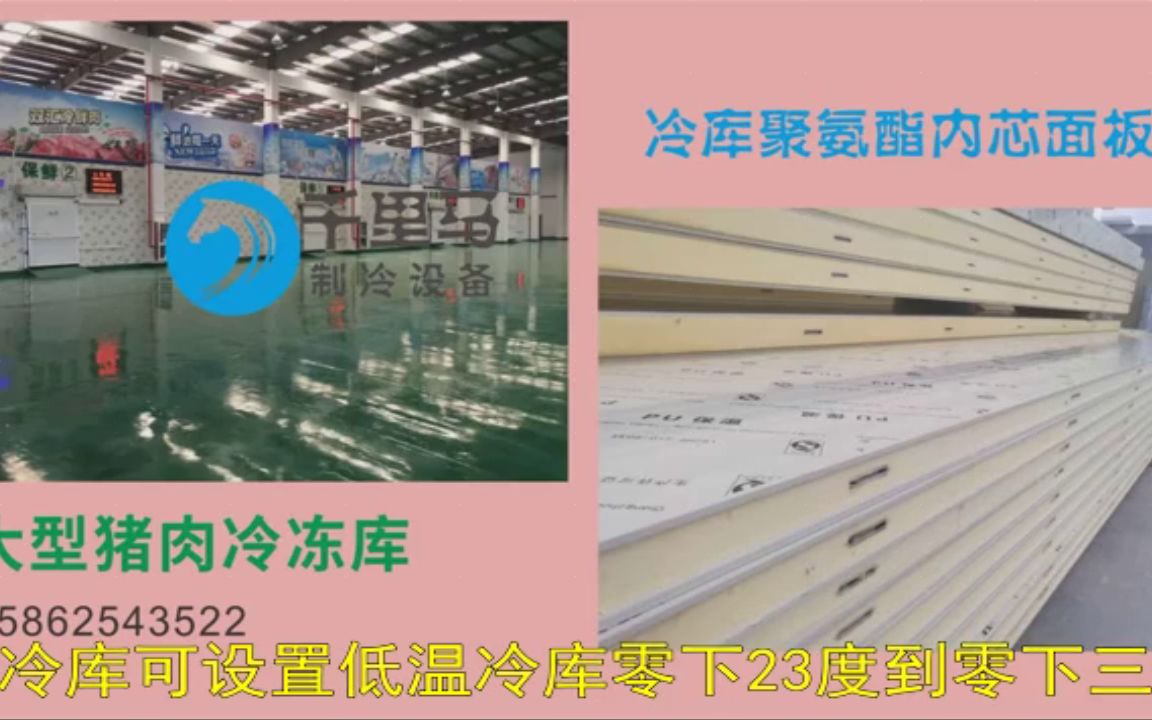 ...冷库价钱-冷藏集装箱代理推荐除霉-【铜仁】菜钢结构速冻设备预算表