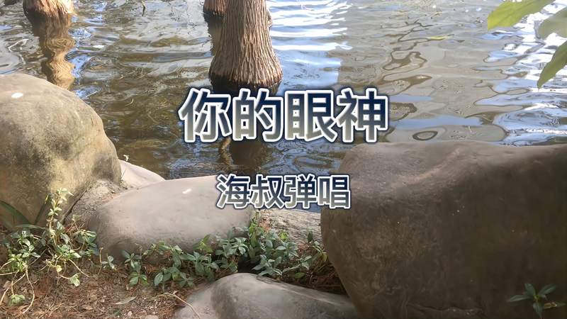 《你的眼神》喜欢就是你的的眼神