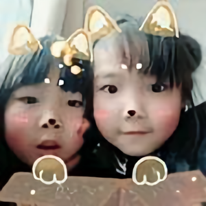 手机用户68425132711 