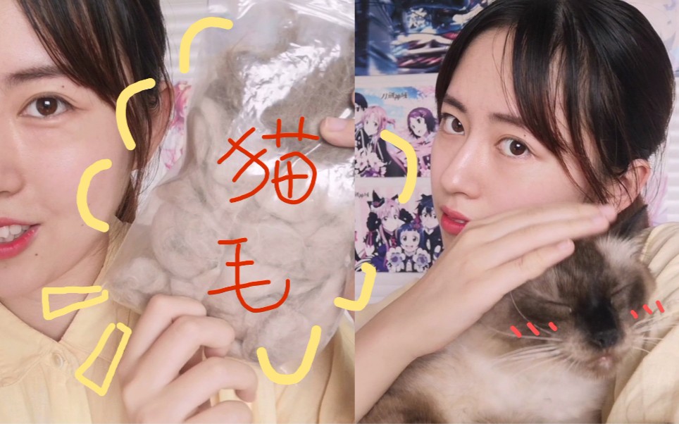 【袖子】薅下来的猫毛不要扔…做个猫毛毡