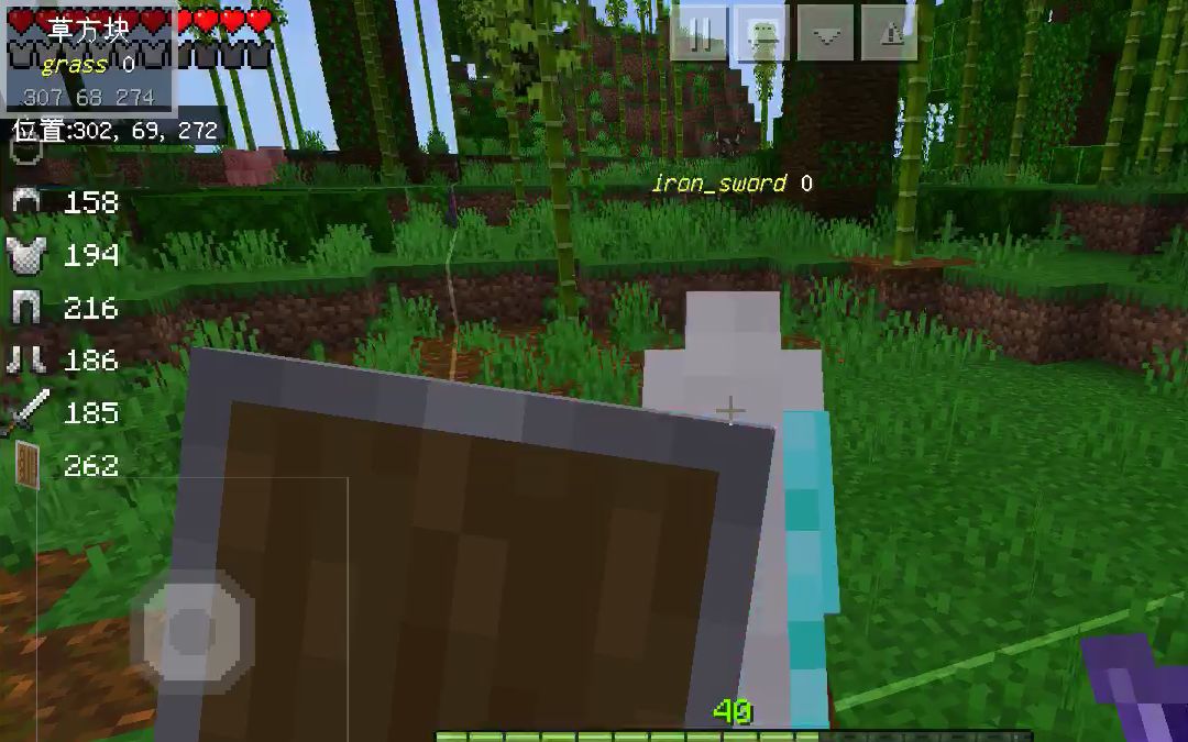 我的世界原版生存第9期——发现竹林