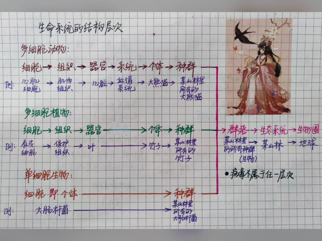 生命系统的结构层次笔记