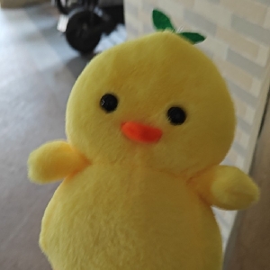 德莉傻的忠实护卫 