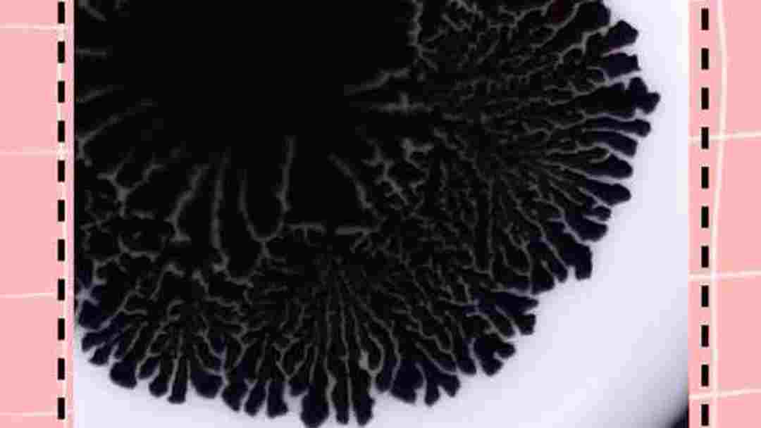 生活小妙招,生活中的奇妙小实验,简单有意思