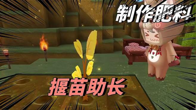 迷你世界:最强生存,神圣树的另类成长方法,这样可以加速长大吗