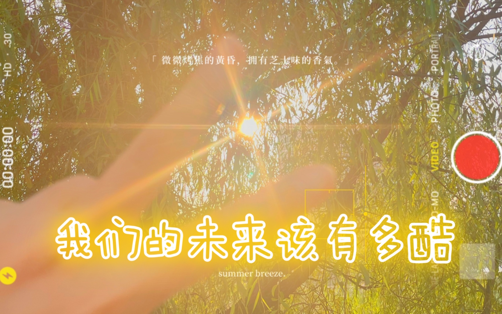 愿我们以后的路不再会有痛苦/愿未来充满阳光