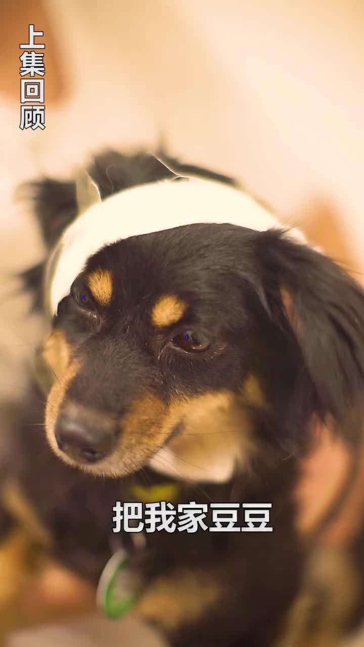 28_碰C中集萌宠嗨玩季美食制作人