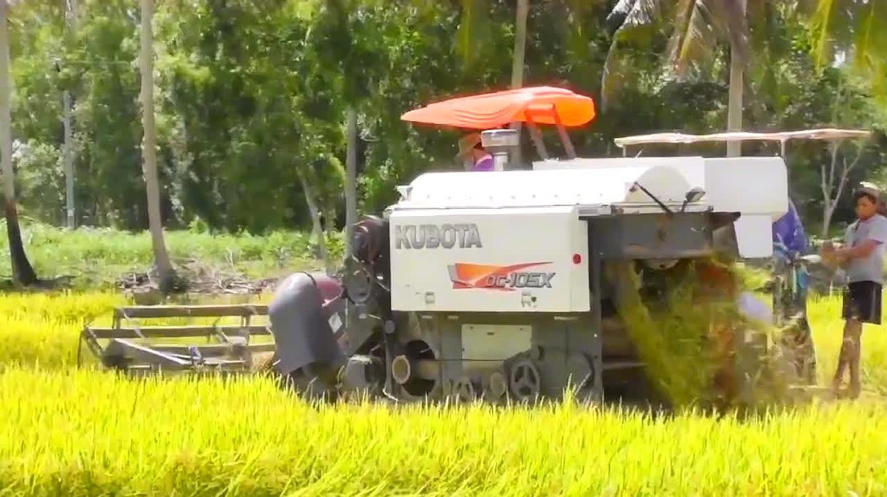 这台收割机真厉害,收割稻谷的效率是普通机器的数倍