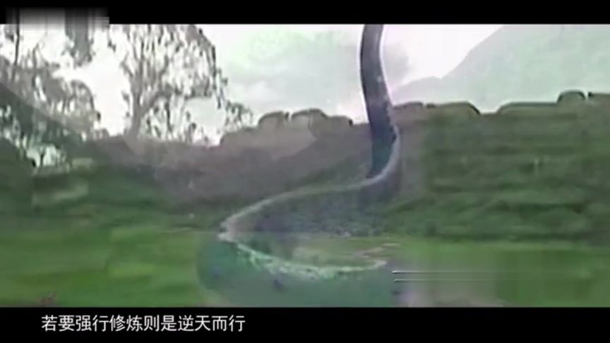 闪电下的灵异事件,真实还原95年安徽巨蟒渡劫事件,胆小呼入
