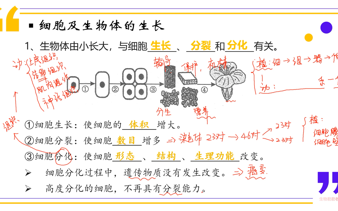 中考生物重难点知识串讲