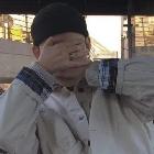 老阳的昆虫世界 