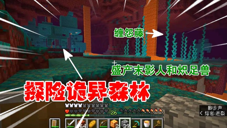 我的世界生存日记第二季15:地狱探险遇诡异森林,末影人在此居住