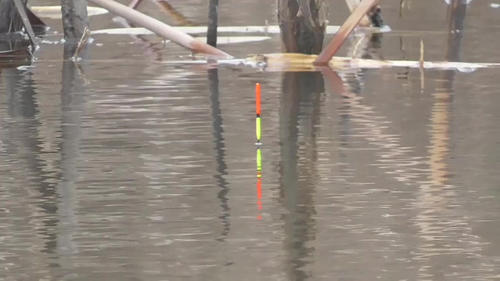 冬季野钓,冰融化了,鲫鱼钓爽了