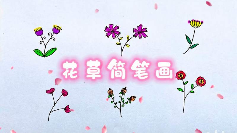 手帐简笔画,花草图案简单画法01